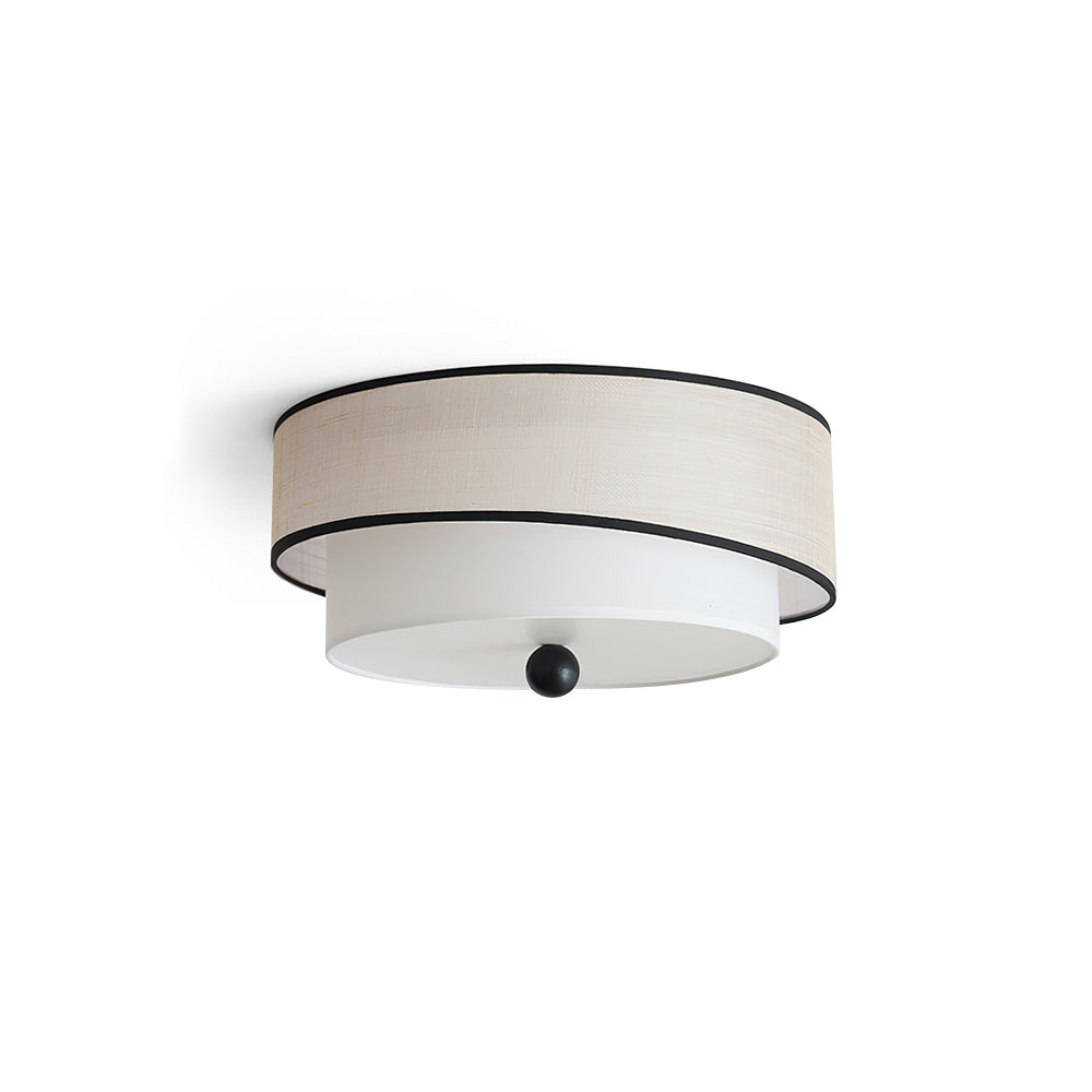 Axis Ceiling Light